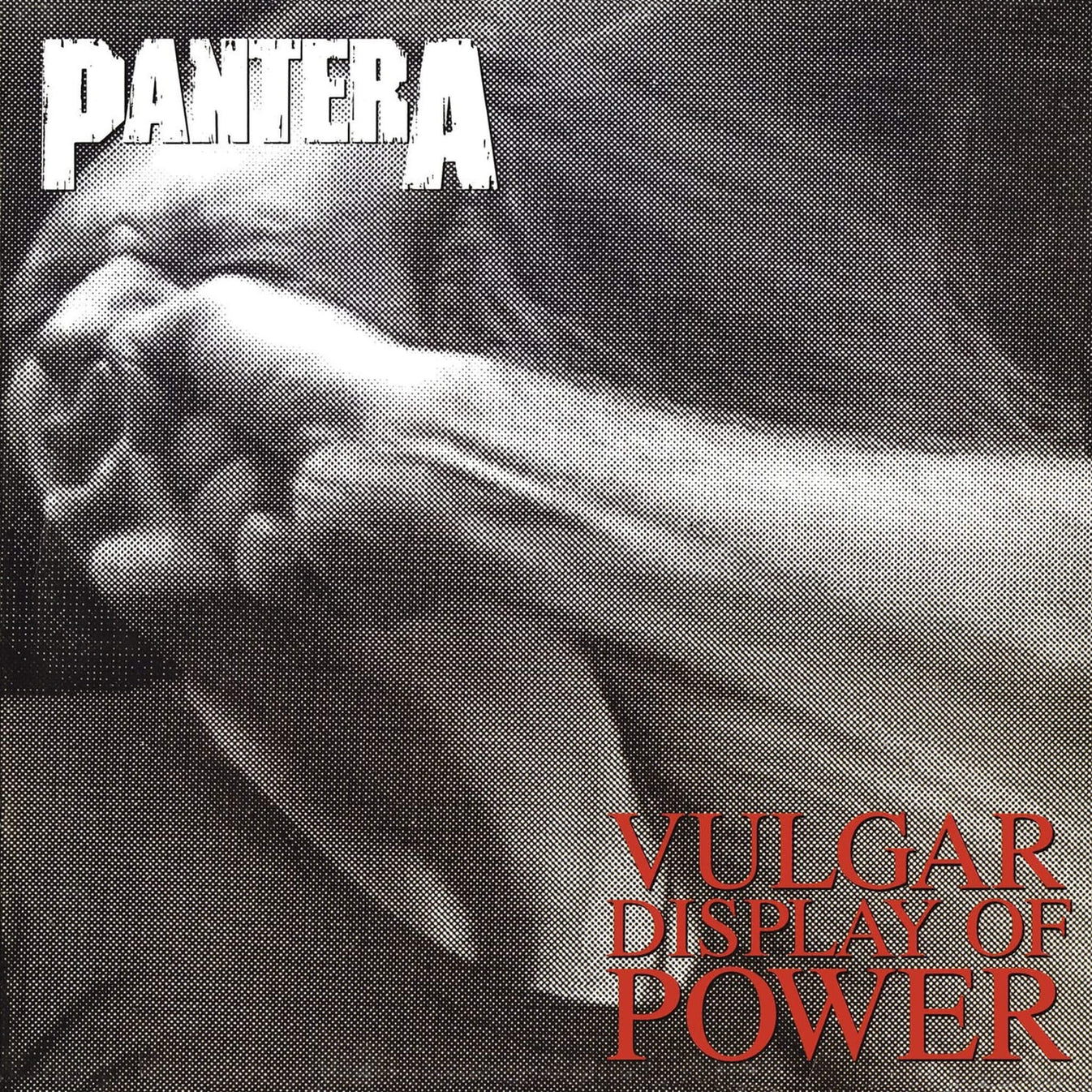 Pantera - Vulgar Display of Power – Skylabs